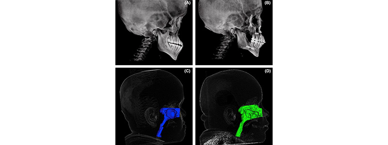 Plastic Surgery Research - Department of Surgery