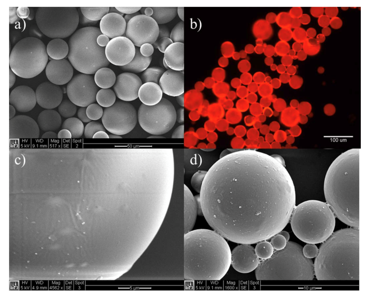 Investigator Profile: Jonathan Sham, MD - Department of Surgery